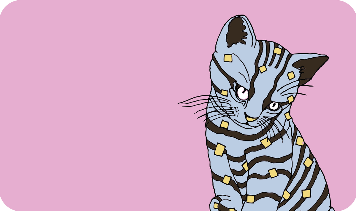 Gato Siamés bebé: ¿Cómo es y cómo debes cuidarlo? – Onlyfresh.com