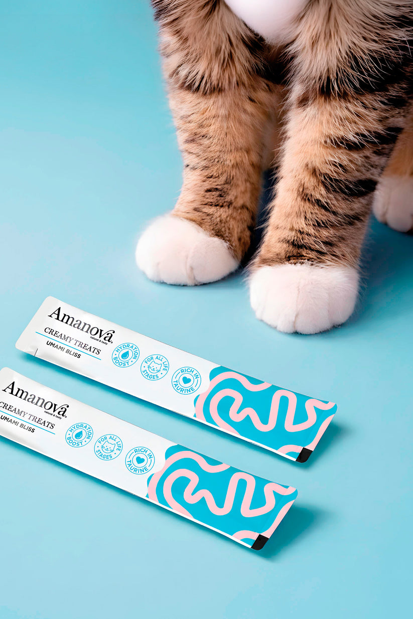 Creamy Treat - Umami Bliss – Onlyfresh.com