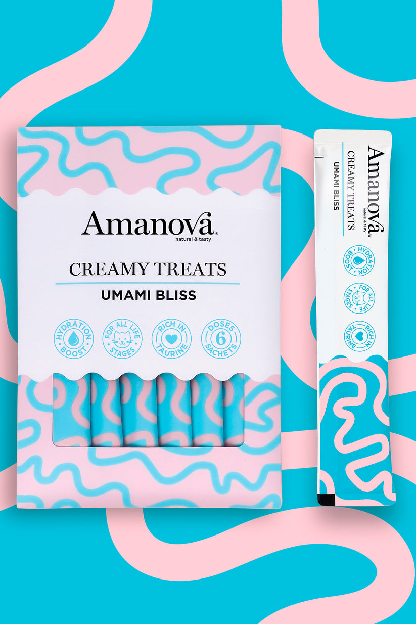 Creamy Treat - Umami Bliss – Onlyfresh.com