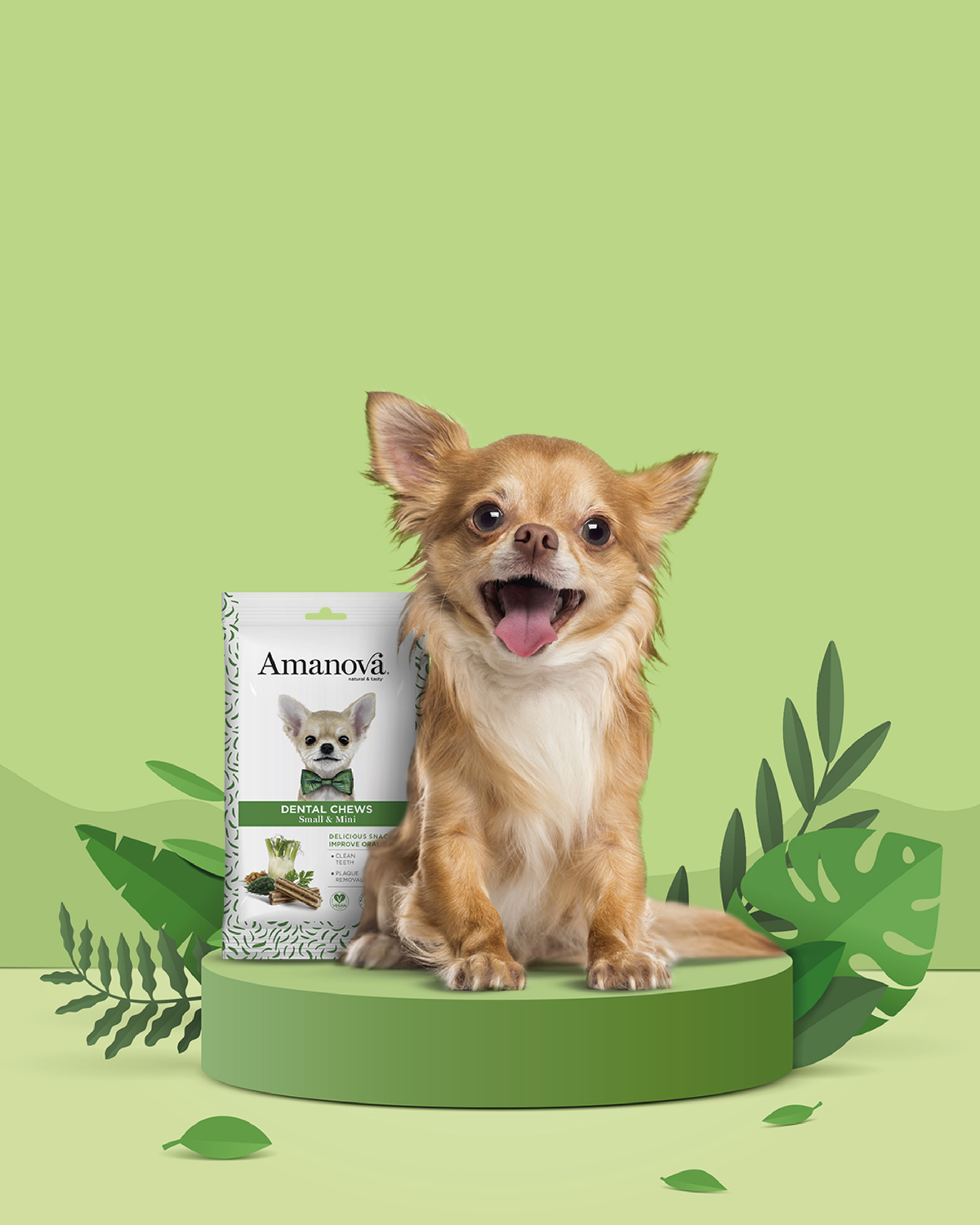 COMIDA PARA MASCOTAS | ONLY FRESH – Onlyfresh.com