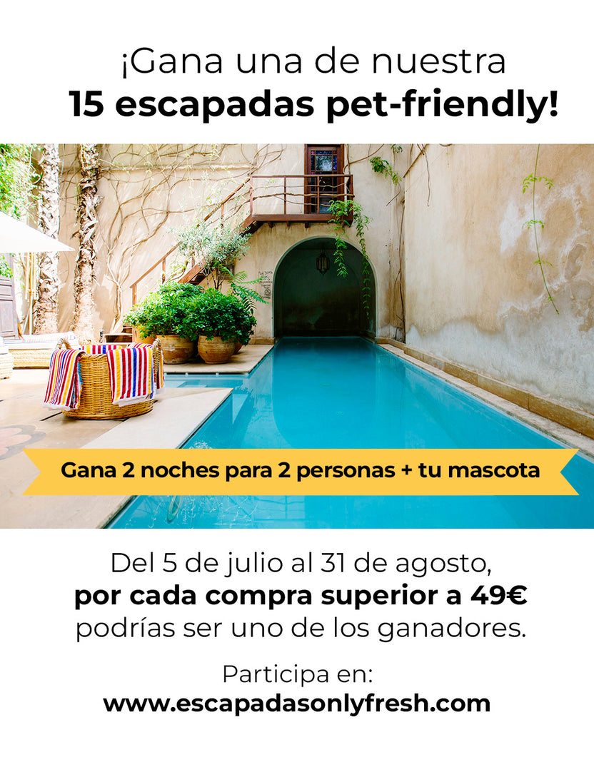 COMIDA PARA MASCOTAS | ONLY FRESH – Onlyfresh.com